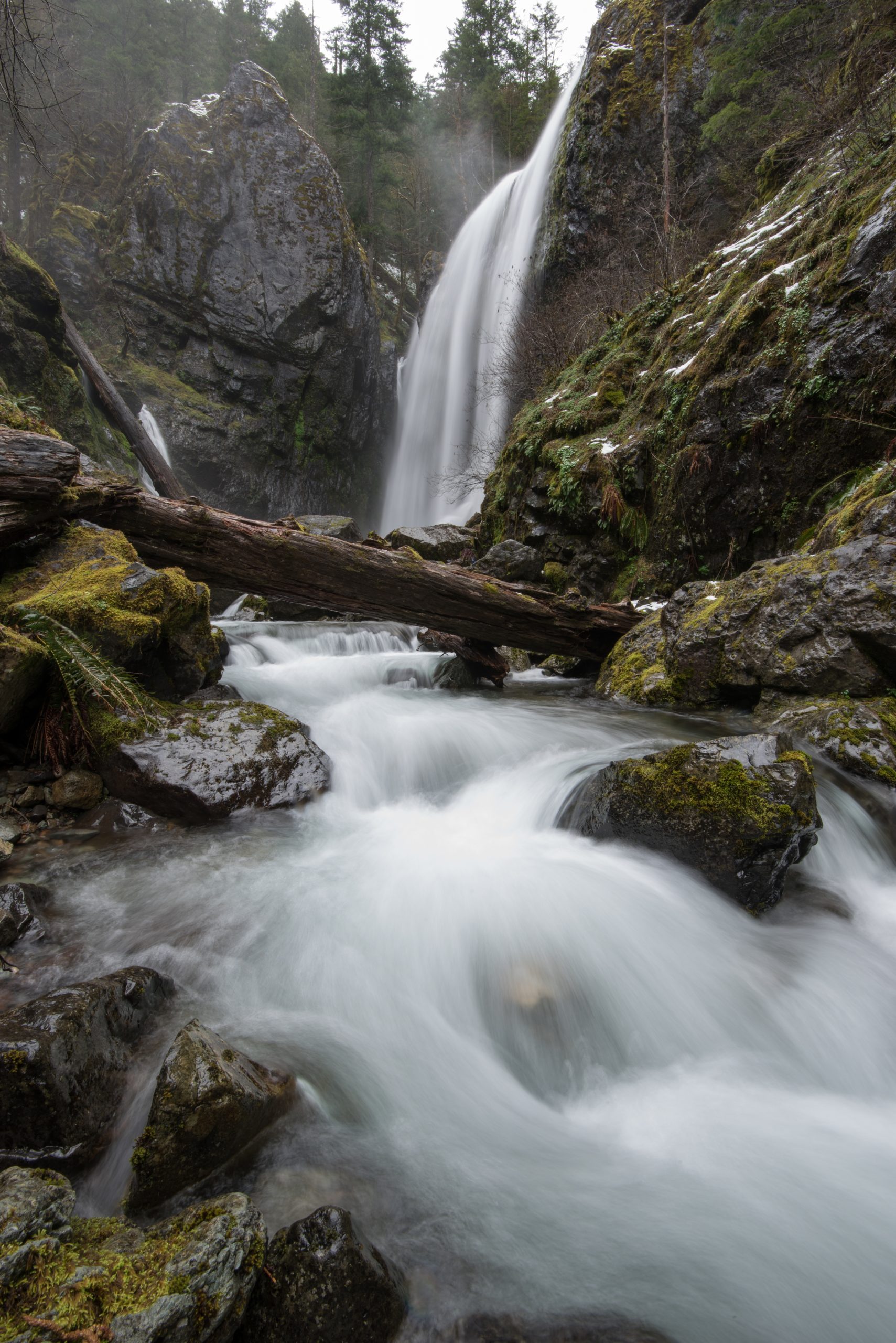 12 Months, 12 Photos: A Year of Nature Photography - Wild Nature Northwest